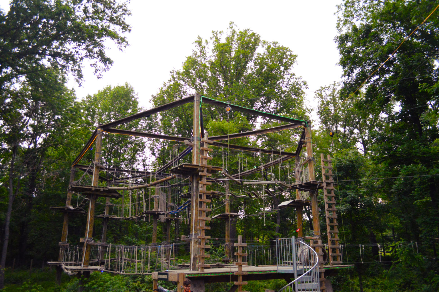 Birthday Parties - The Adventure Park at Sandy Spring Friends School