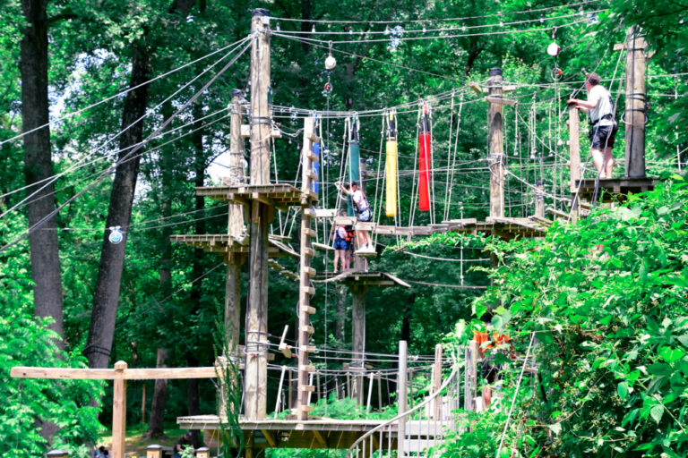 Press - The Adventure Park at Sandy Spring Friends School