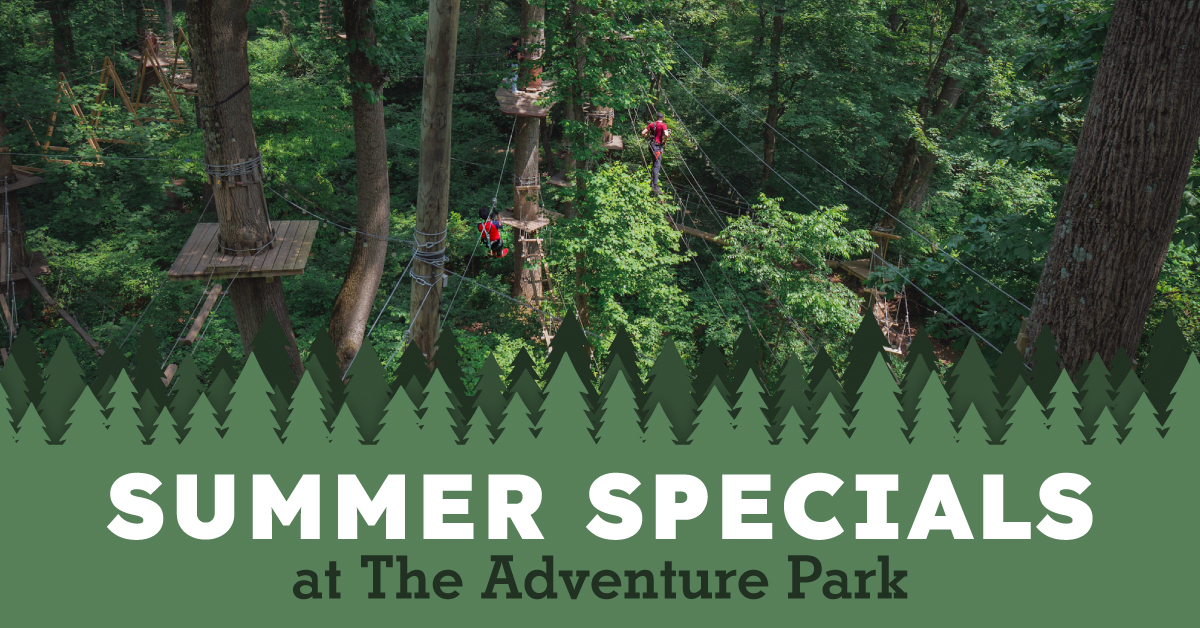 Summer Specials - The Adventure Park at Sandy Spring Friends School